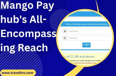 Unlocking the Potential of Mango Payhub – traveltro
